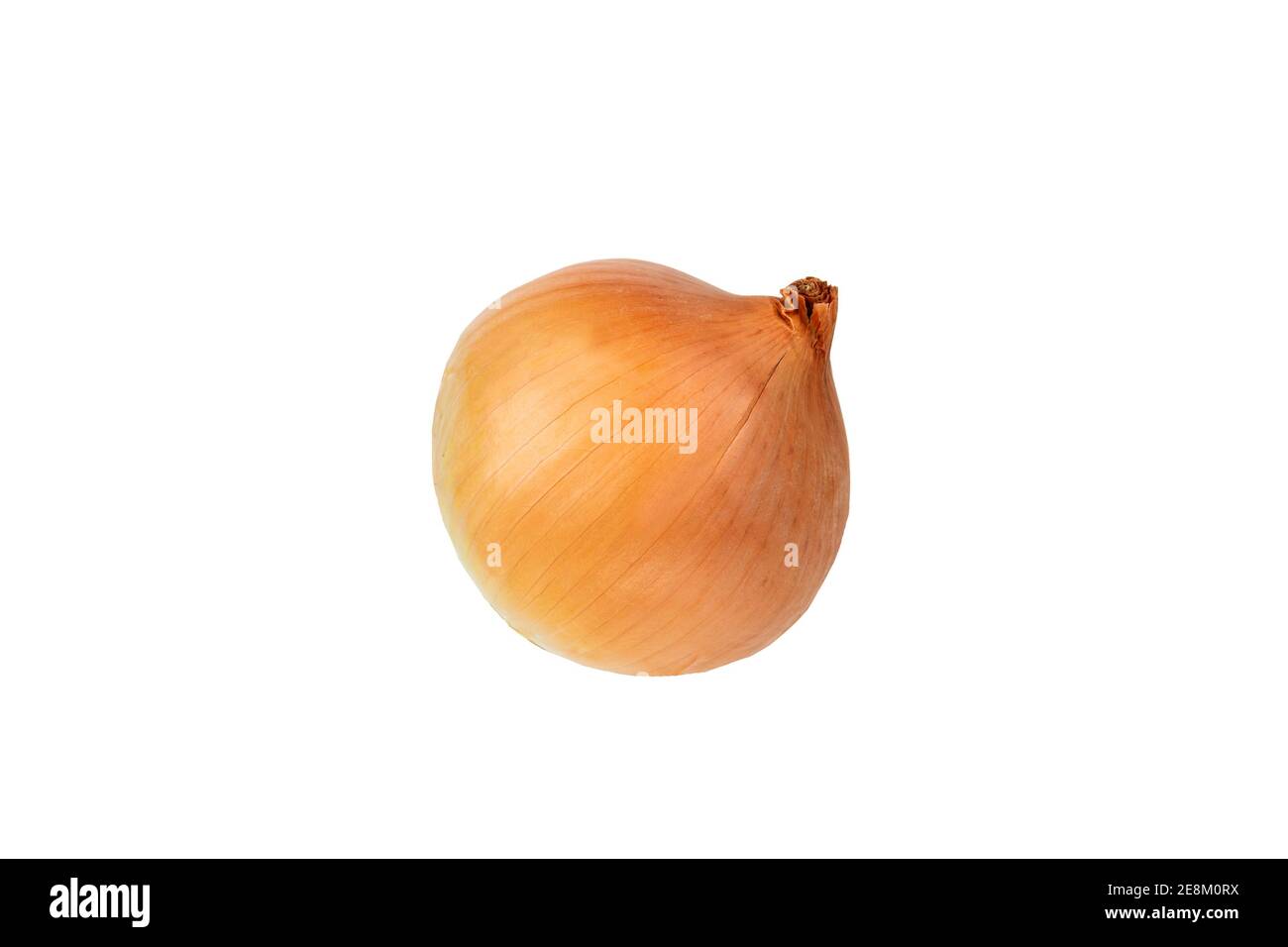 Fresh organic onion bulb vegetable isolated on white Stock Photo - Alamy