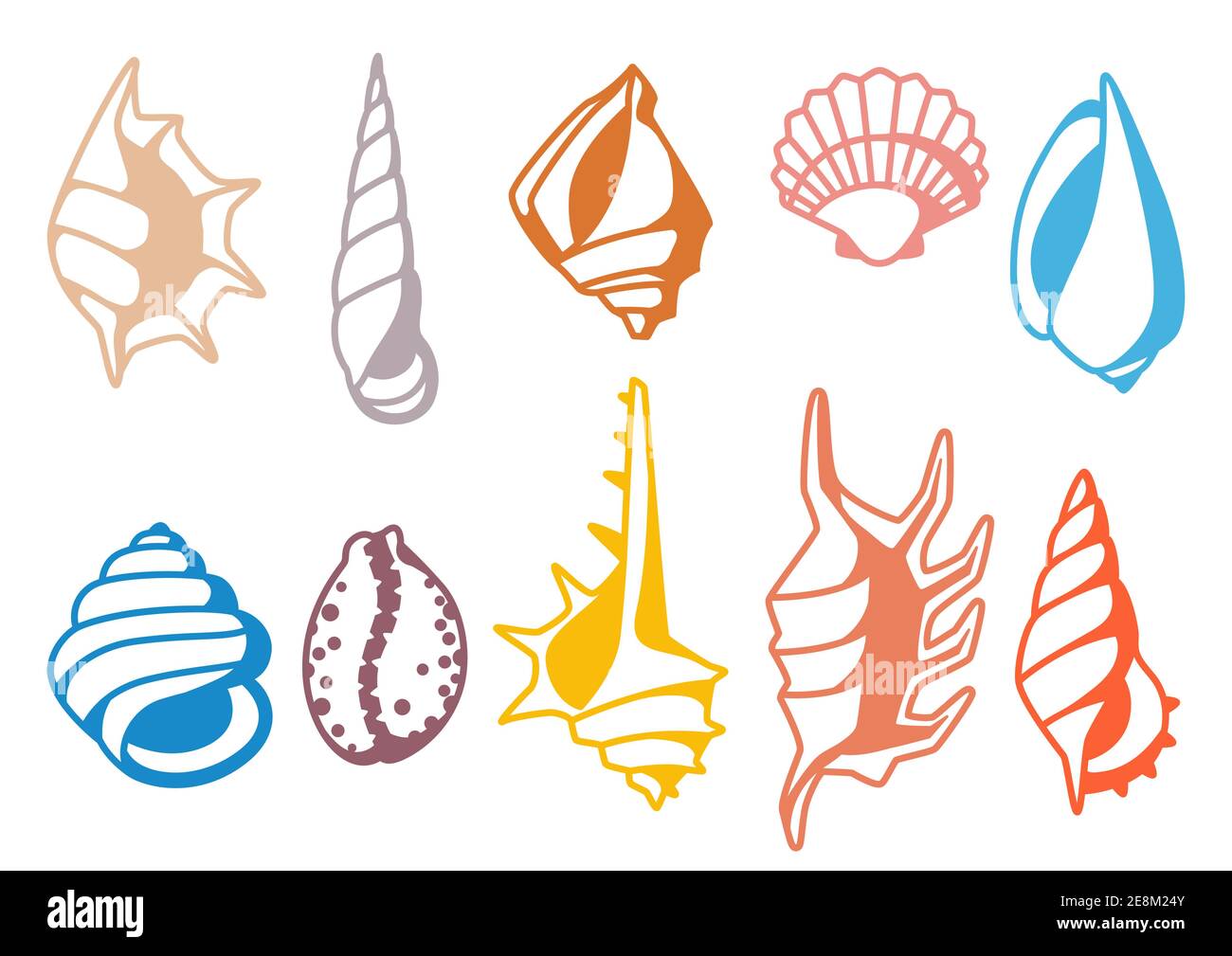 Set of seashells Stock Vector Image & Art - Alamy