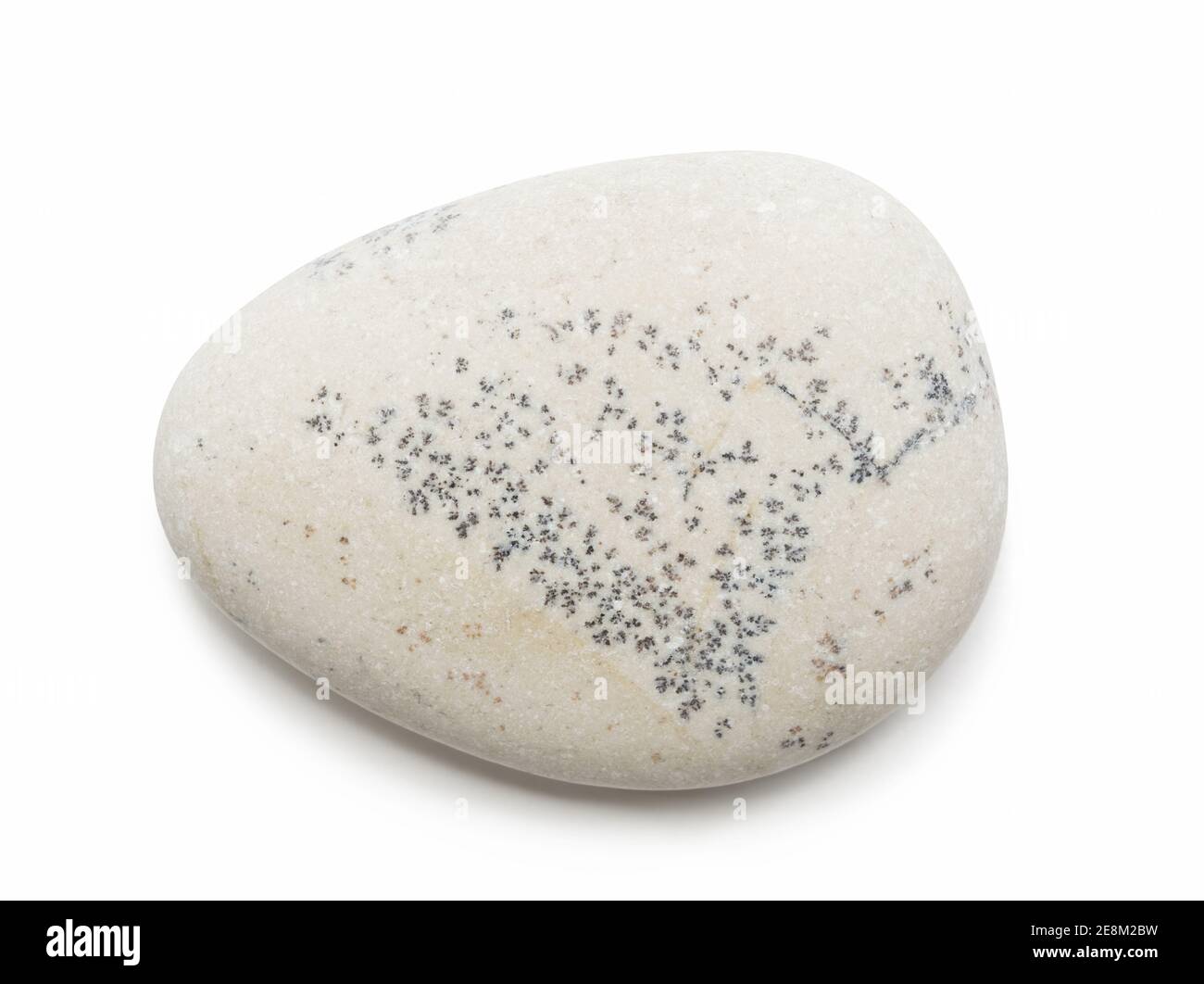 Pebble. Smooth gray sea stone isolated on white background Stock Photo ...