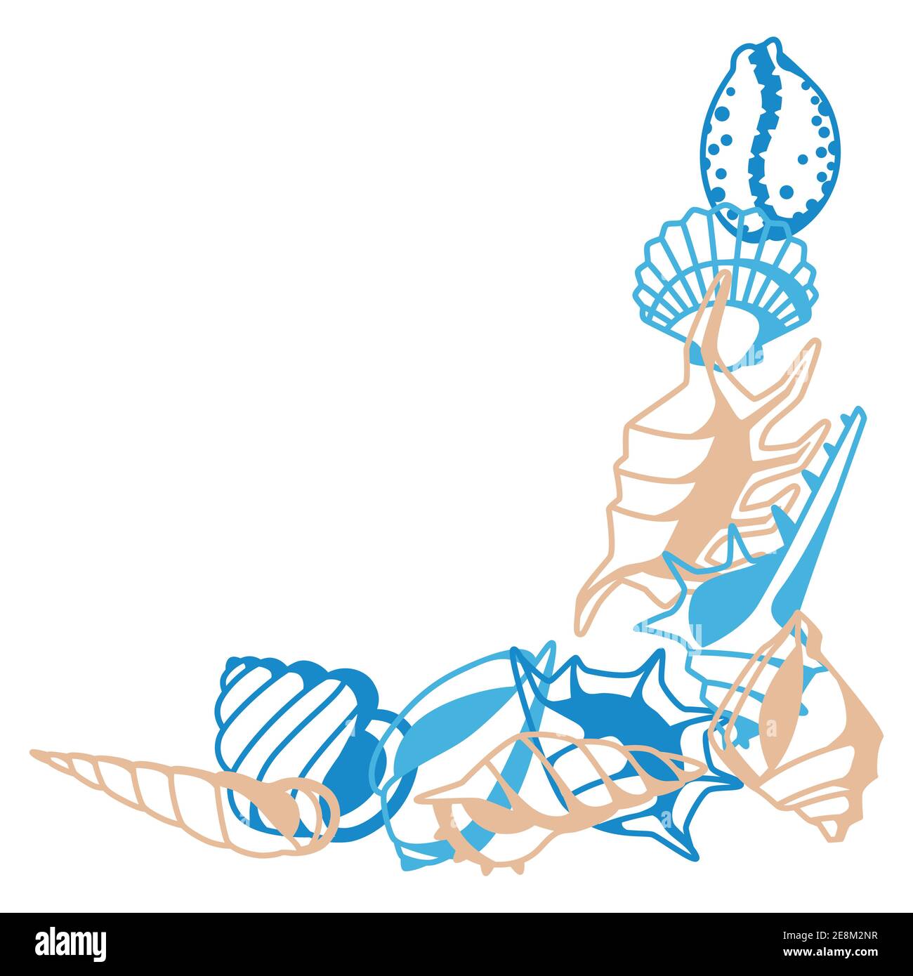 Corner with seashells Stock Vector Image & Art - Alamy