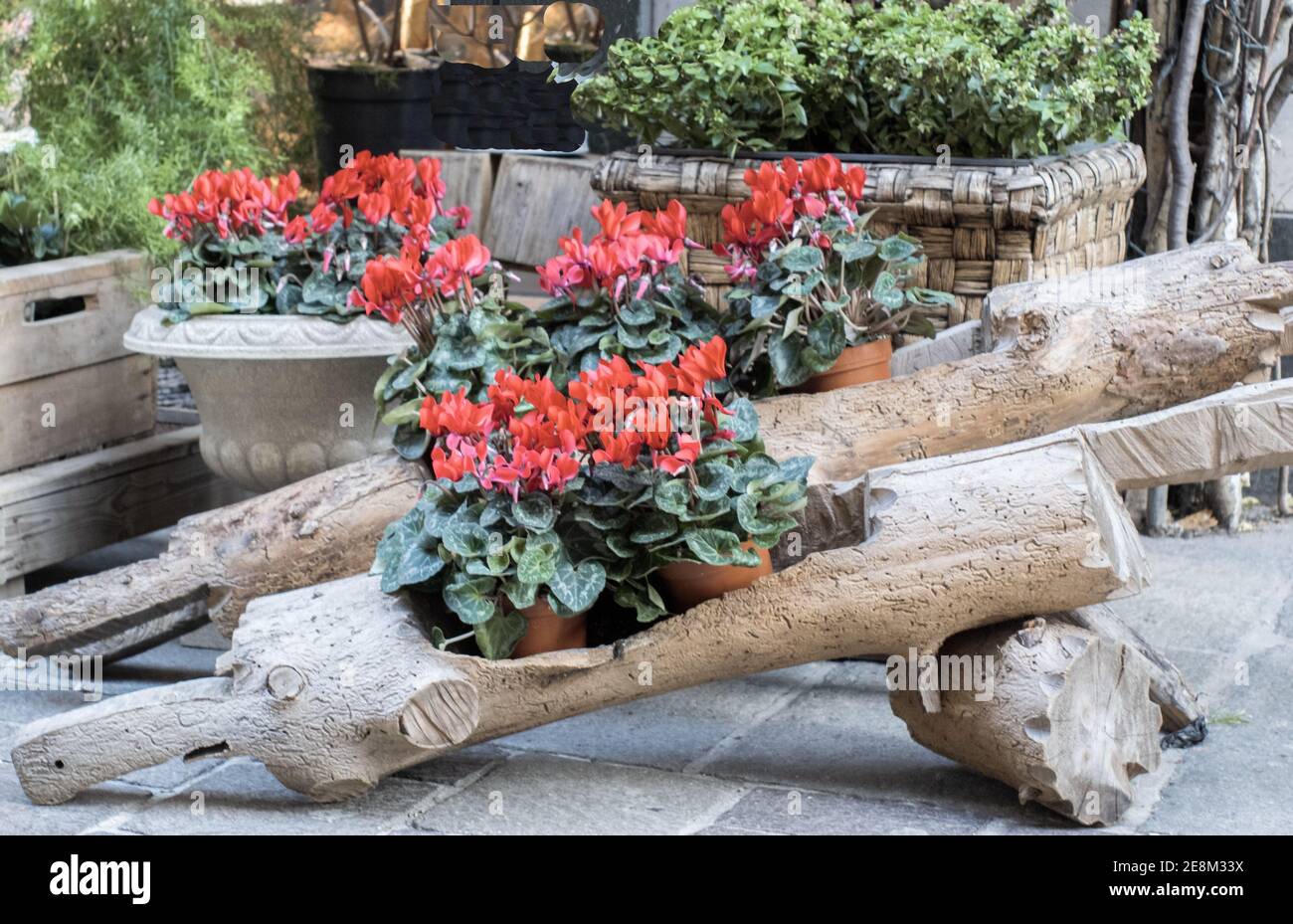 Trunk holders hi-res stock photography and images - Alamy