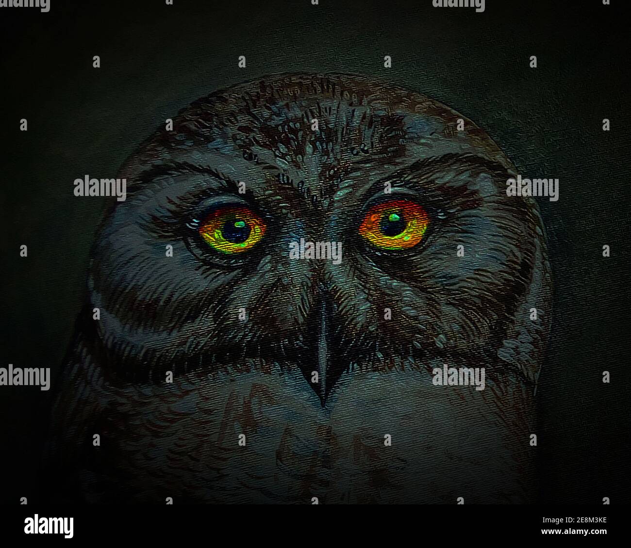 Art ,painting oil color, Smiling cute ,owl ,Thailand , ferocious , wild ...