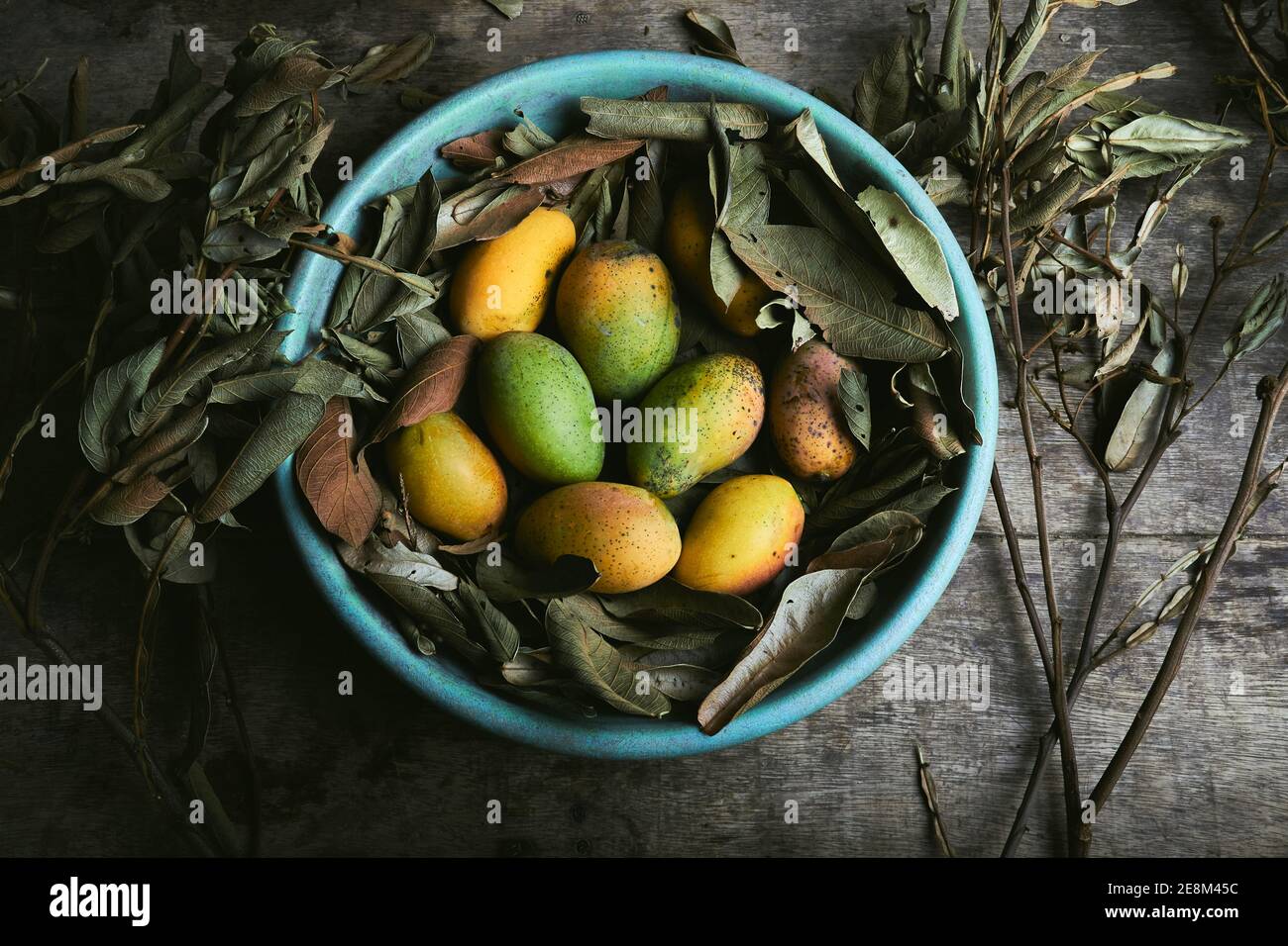 A top view closeup of ripe mangoes inside of a blue bowl with leaves on ...