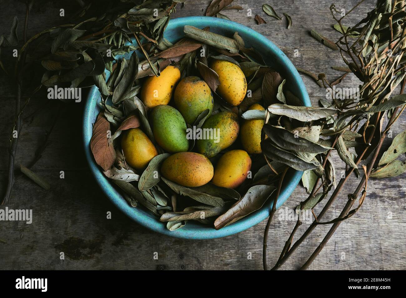 A top view closeup of ripe mangoes inside of a blue bowl with leaves on ...