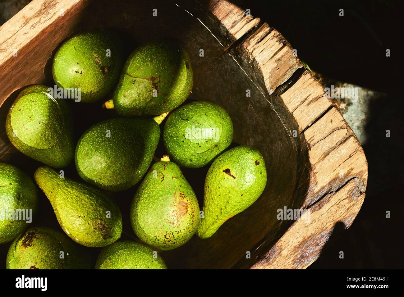 A top view closeup view of green and yellow avocados under pouring ...