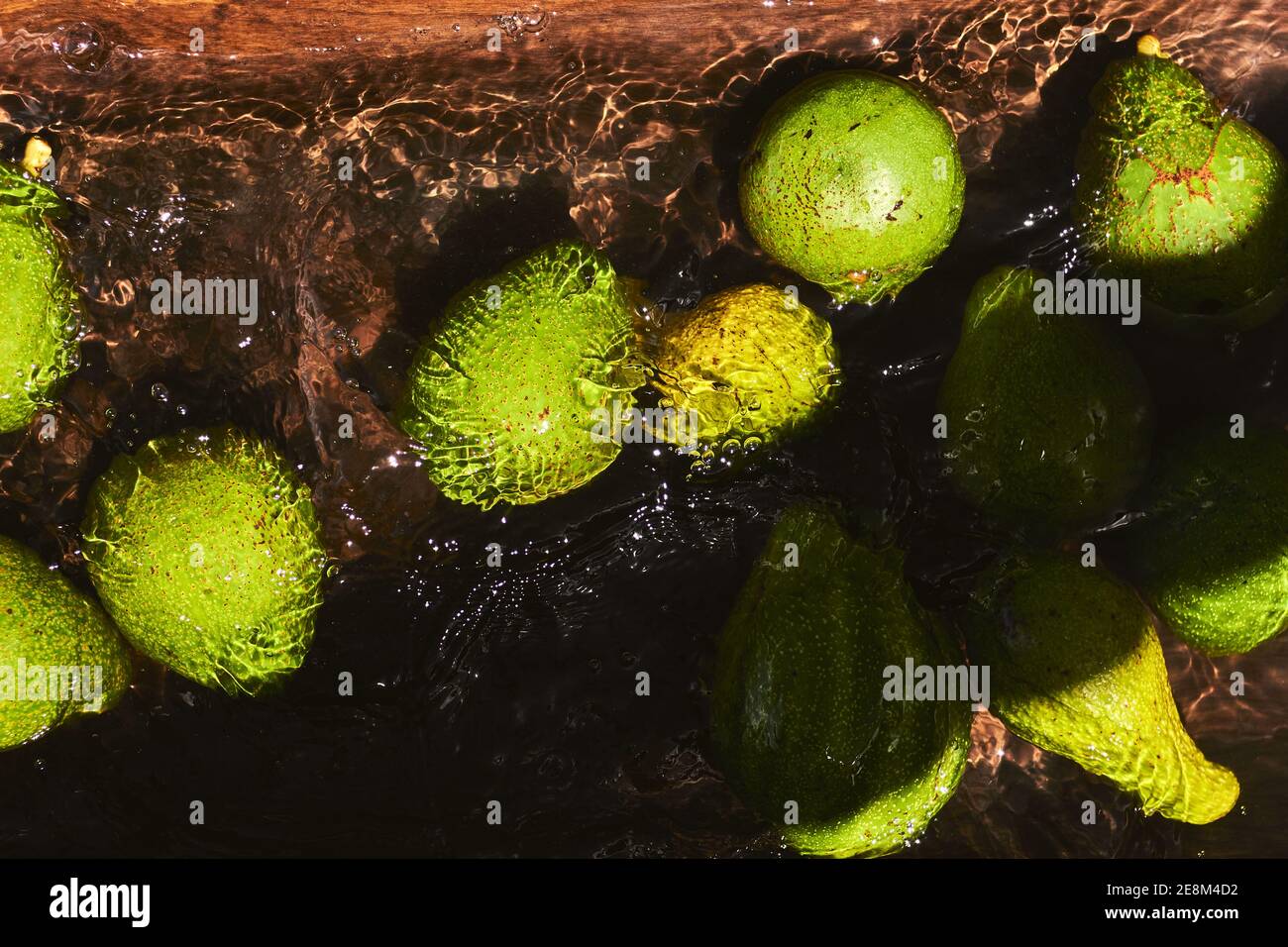 A top view closeup of yellow and green pears under the pouring water in ...