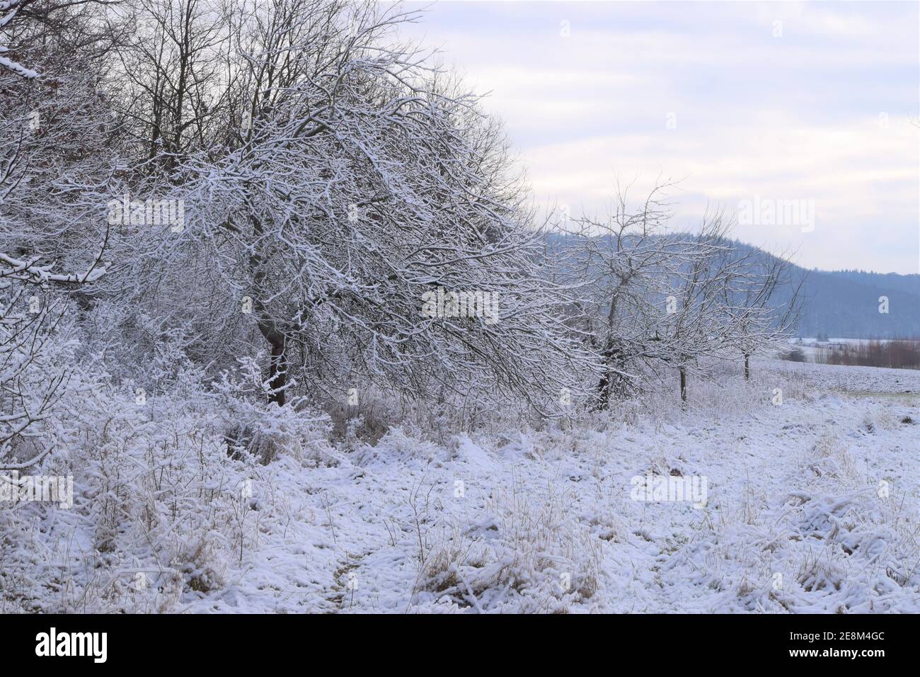 beautiful Powder snow in a windy Position Stock Photo - Alamy