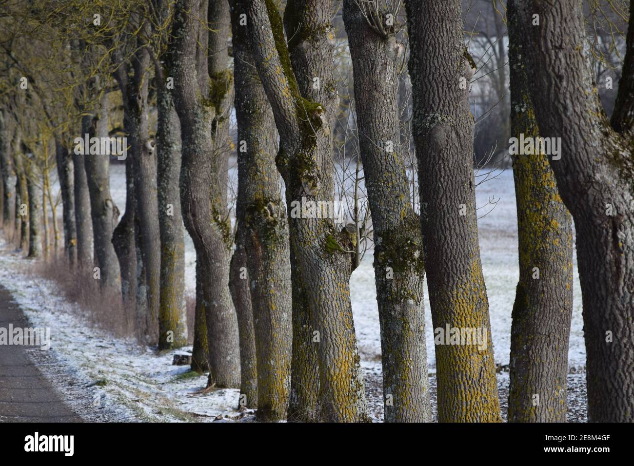 Natural route delimitation hi-res stock photography and images - Alamy