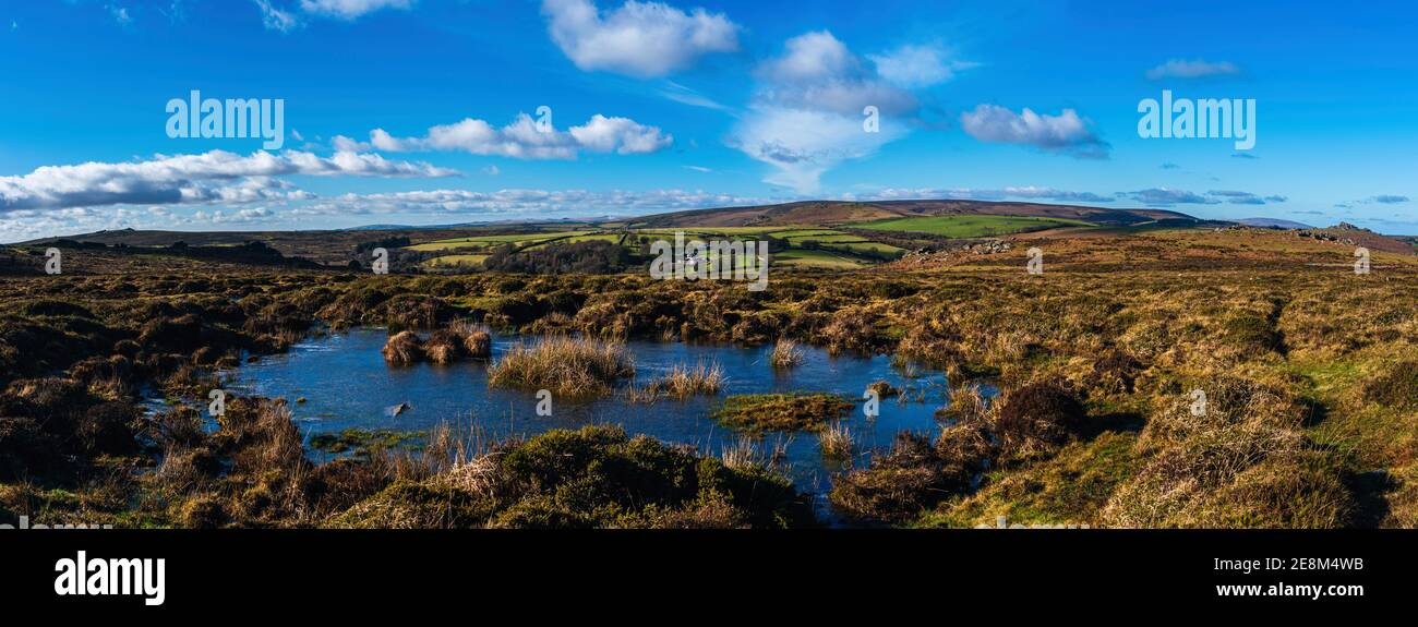 Devon rocks hi-res stock photography and images - Alamy