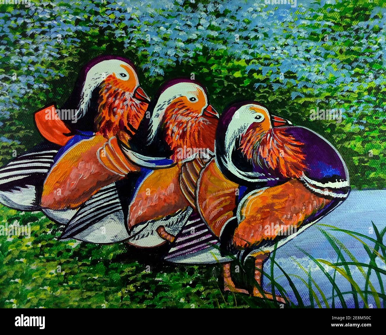Art ,painting ,Acrylic,color ,Mandarin duck Stock Photo - Alamy