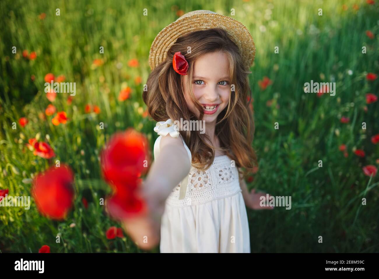 cute little girl in meadow with red poppies Stock Photo - Alamy