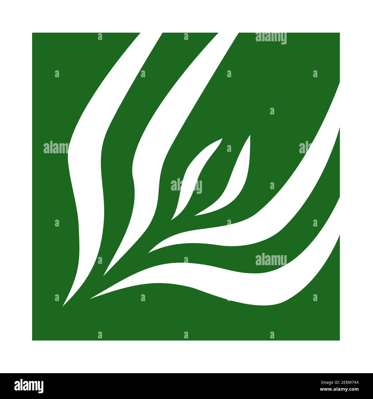 Vector abstract green square logo design templates - emblems for ...