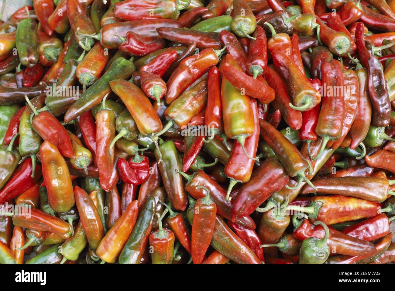 China,Beijing, display of chillies in market Stock Photo - Alamy
