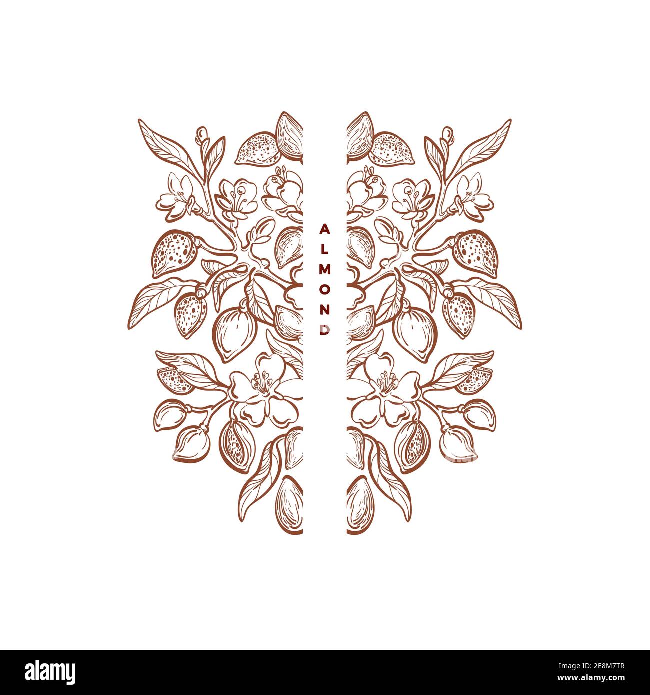 Victorian Filigree Vector