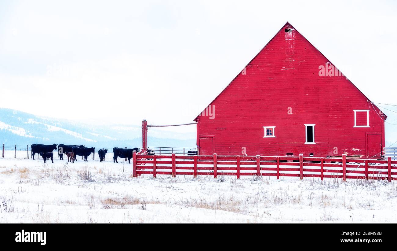 Classic barn hi-res stock photography and images - Alamy