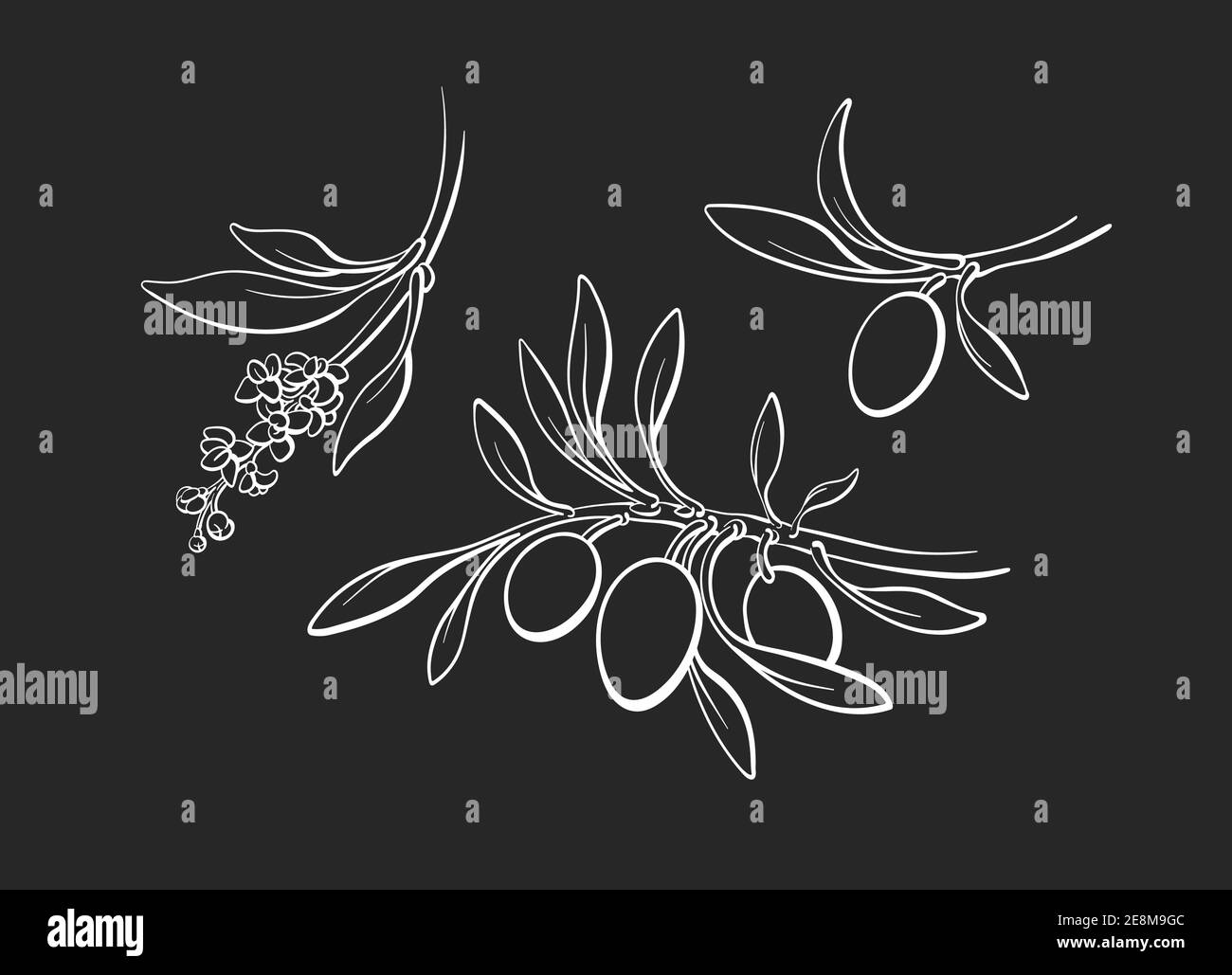 Greek flowers drawing hi-res stock photography and images - Alamy