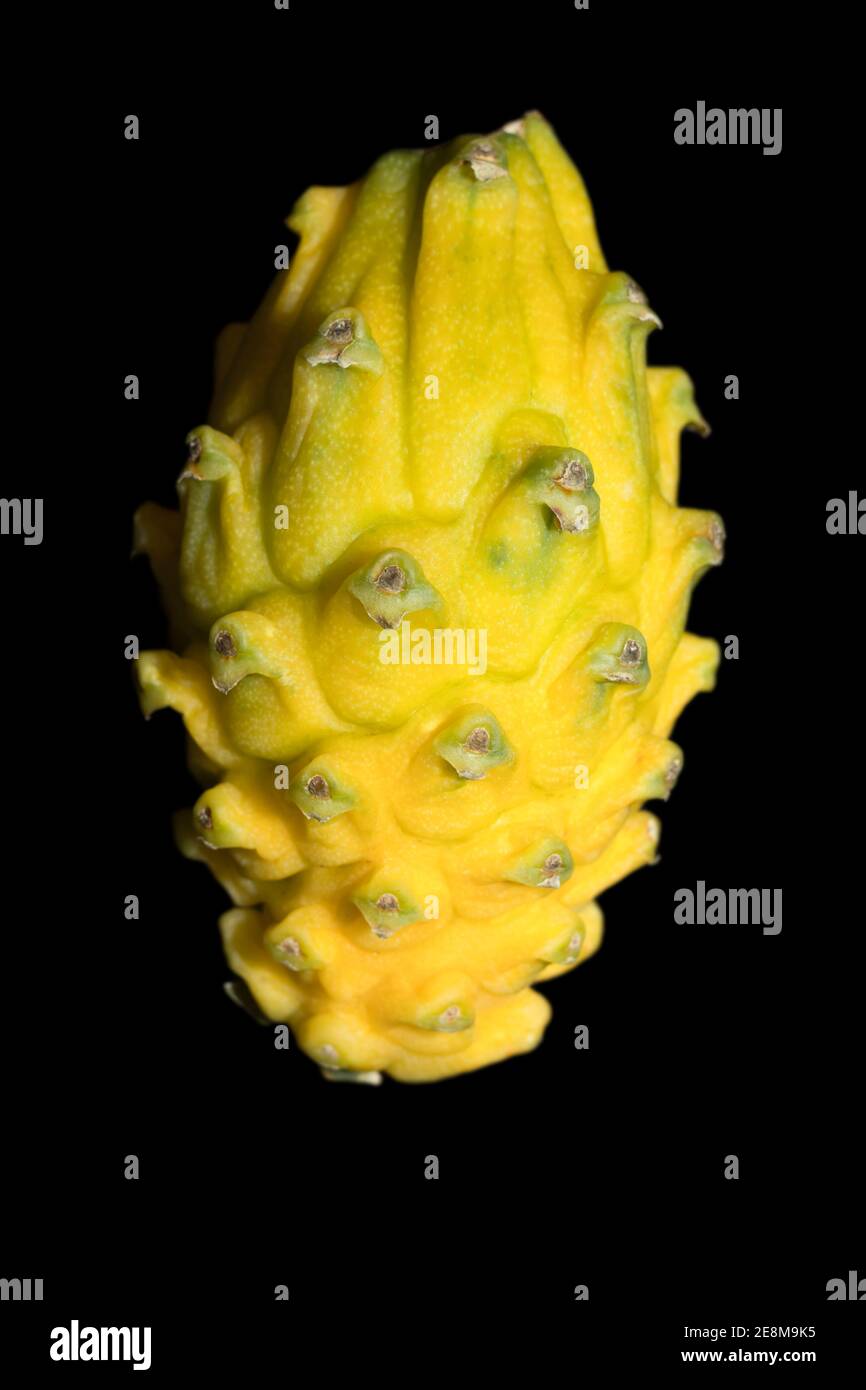 Yellow pitahaya hi-res stock photography and images - Alamy