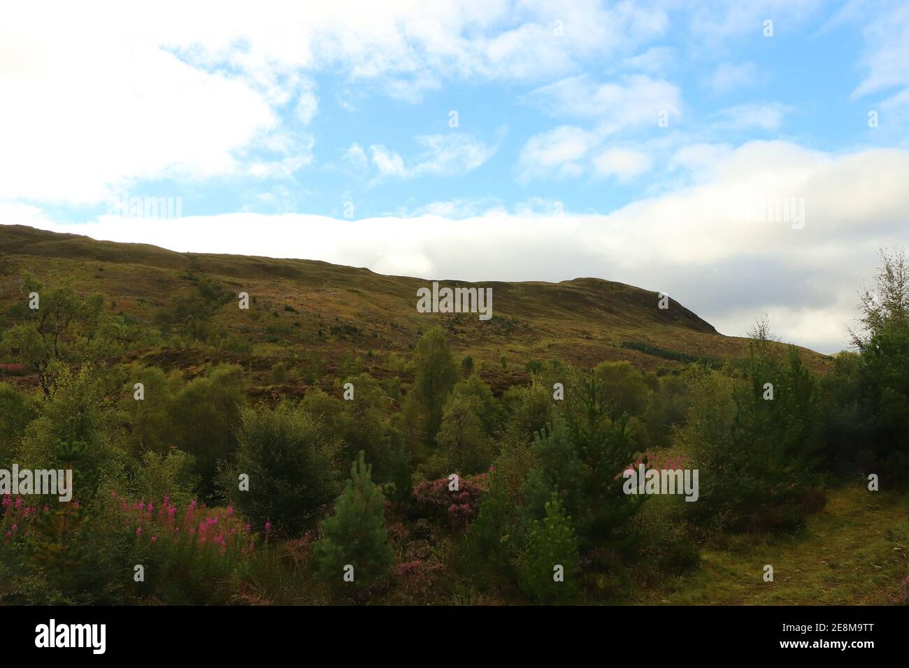Meander scotland hi-res stock photography and images - Alamy