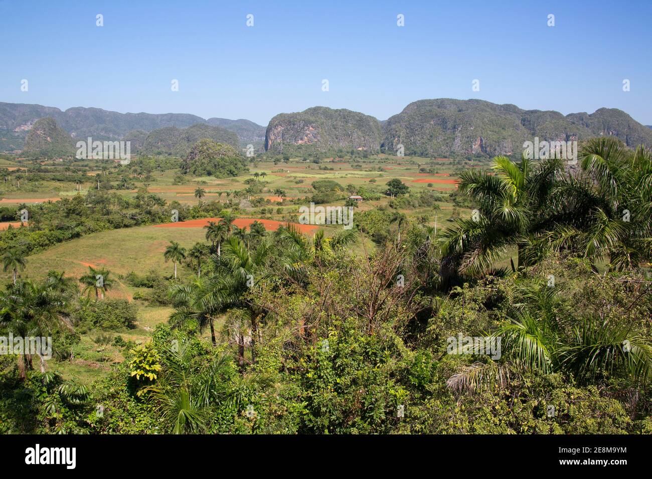 The Vinales Valley, Pinar del Rio, Cuba Stock Photo - Alamy