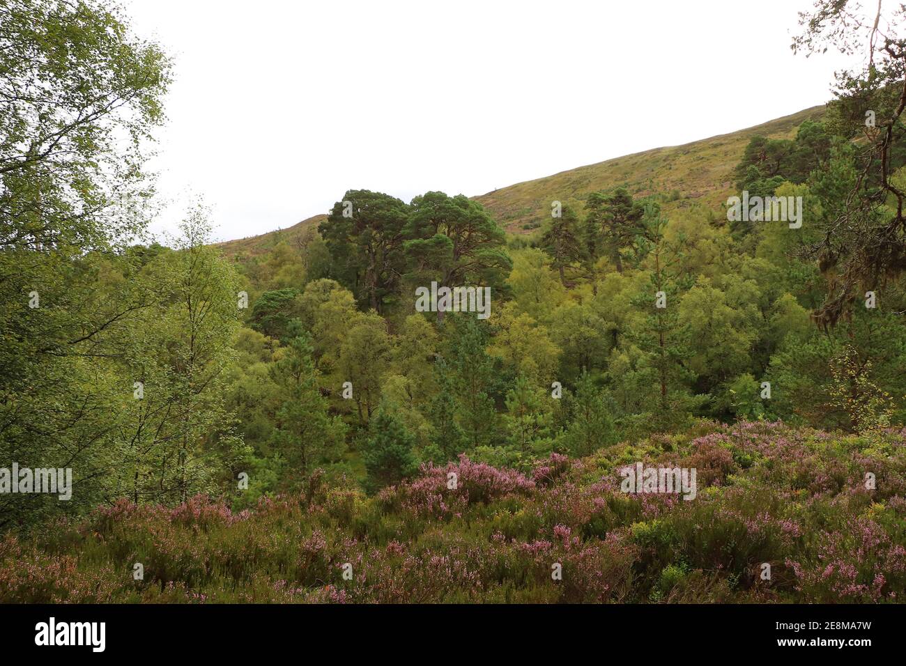 Meander scotland hi-res stock photography and images - Alamy