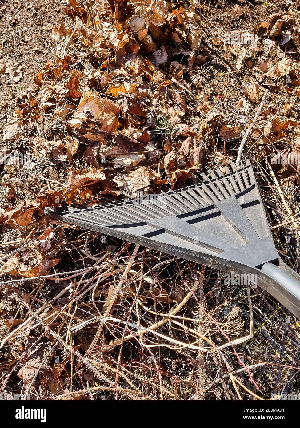 Person raking fallen leaves in the garden.Girl holding a rake and ...