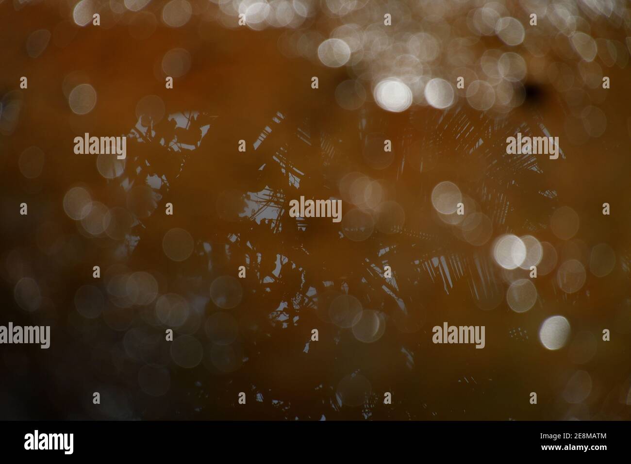 Abstract natural patterns hi-res stock photography and images - Alamy