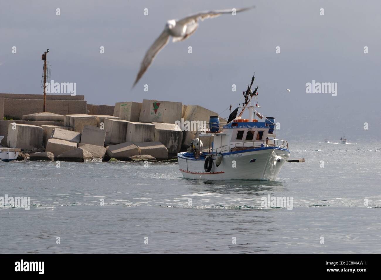 From sea catch octopus hi-res stock photography and images - Alamy