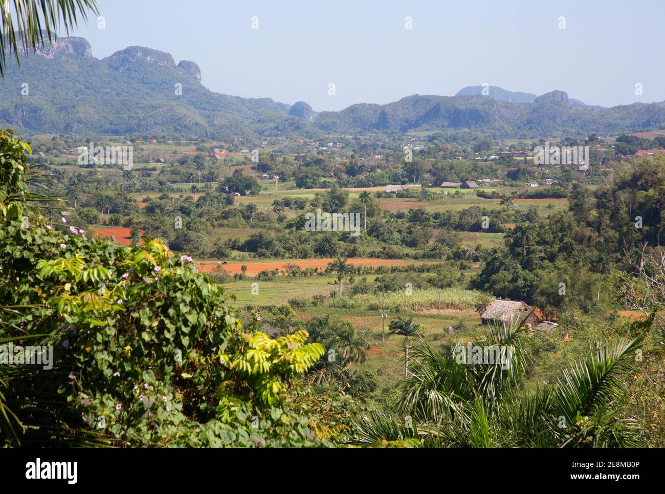 The Vinales Valley, Pinar del Rio, Cuba Stock Photo - Alamy