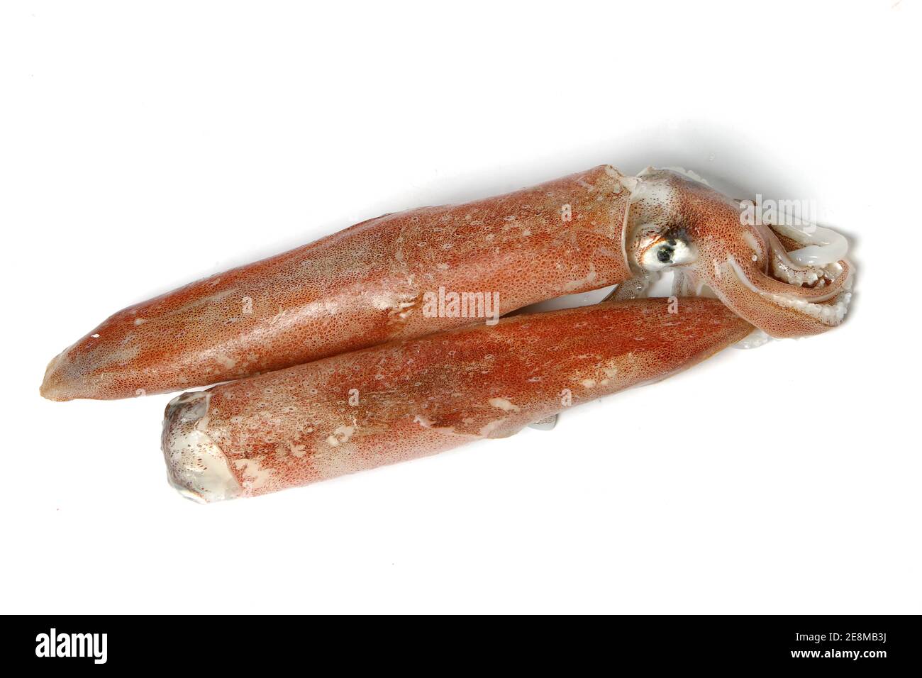 Shellfish frozen raw fresh Cut Out Stock Images & Pictures - Alamy