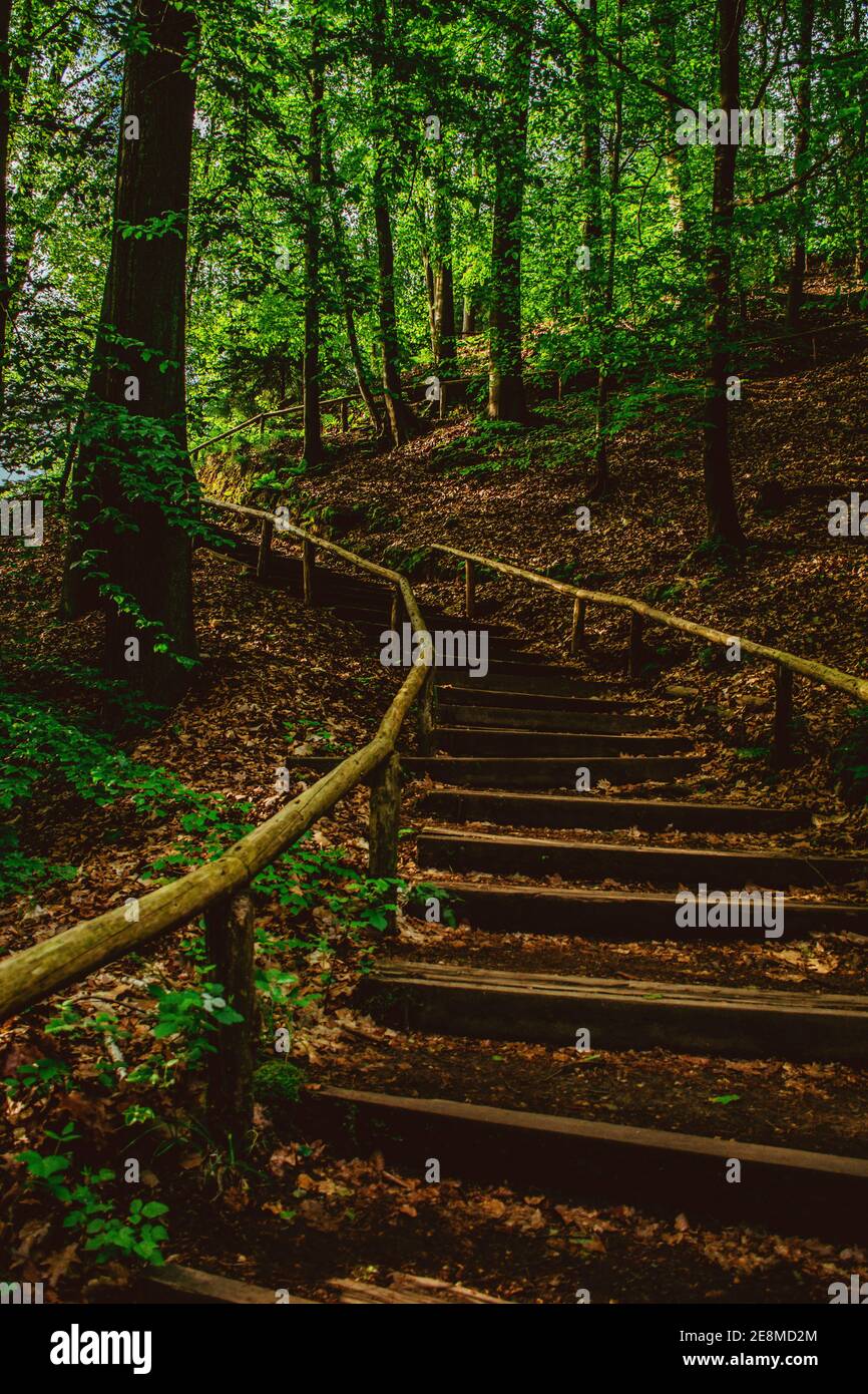 Trekking path in Bastei sandstone mountains leading to Bastei bridge ...