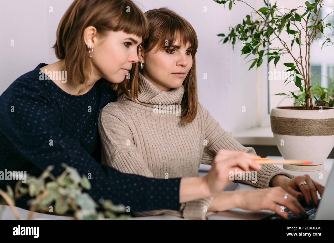 Two girls twins work side by side in the office on a laptop ...