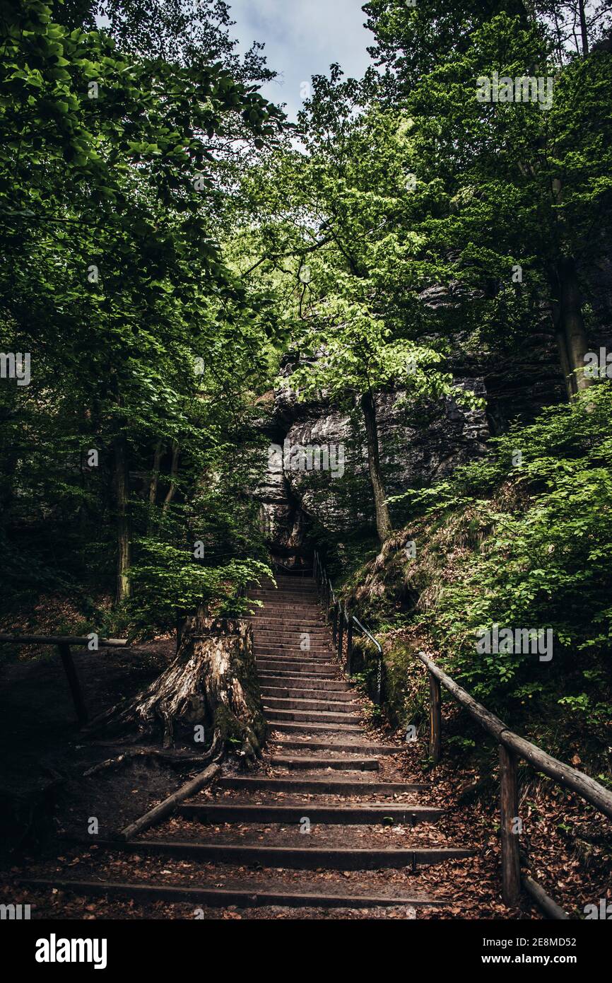 Trekking path in Bastei sandstone mountains leading to Bastei bridge ...
