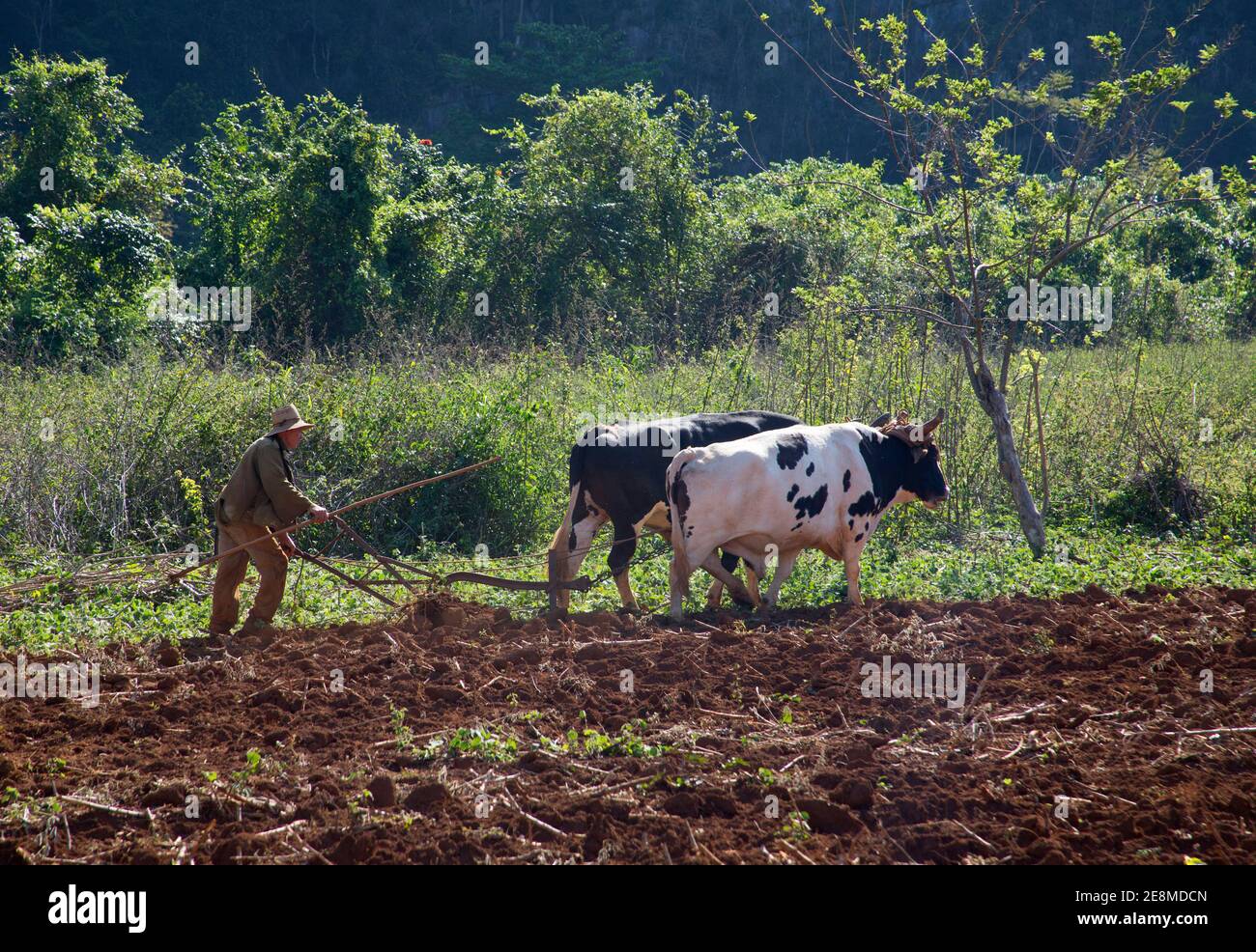 Manual ploughing hi-res stock photography and images - Alamy