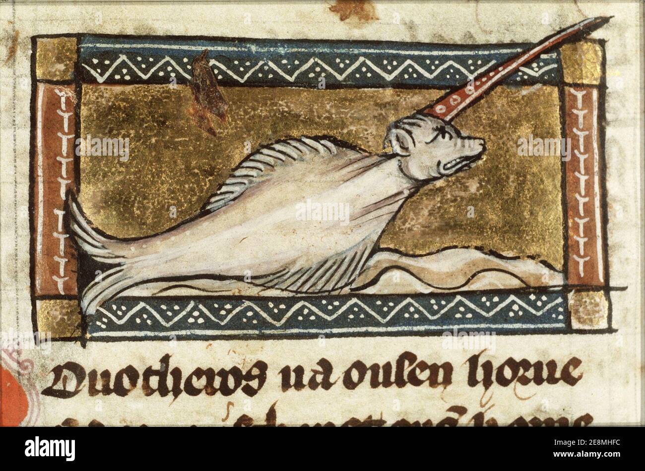 Monocheros - Der naturen bloeme - Jacob van Maerlant - KB KA 16 - 107v ...
