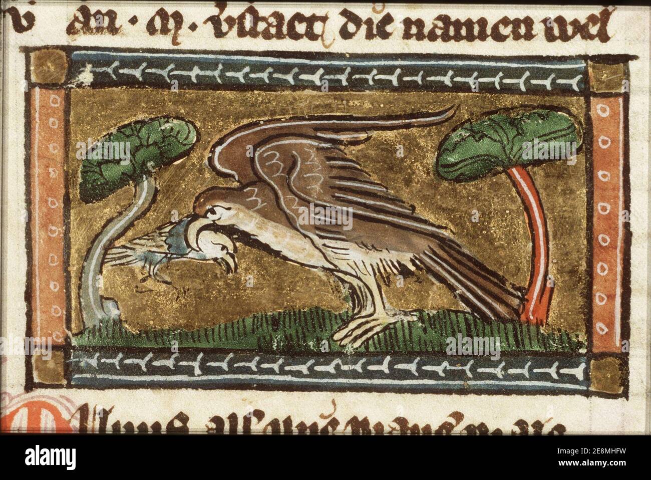 Milvus (harrier) - Der naturen bloeme - Jacob van Maerlant - KB KA 16 ...