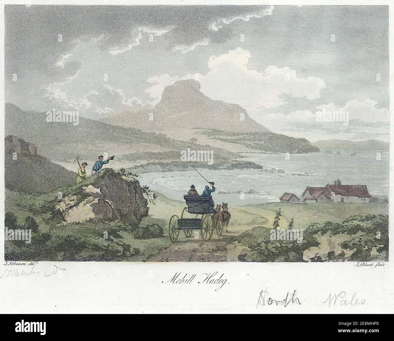 Hadog hi-res stock photography and images - Alamy