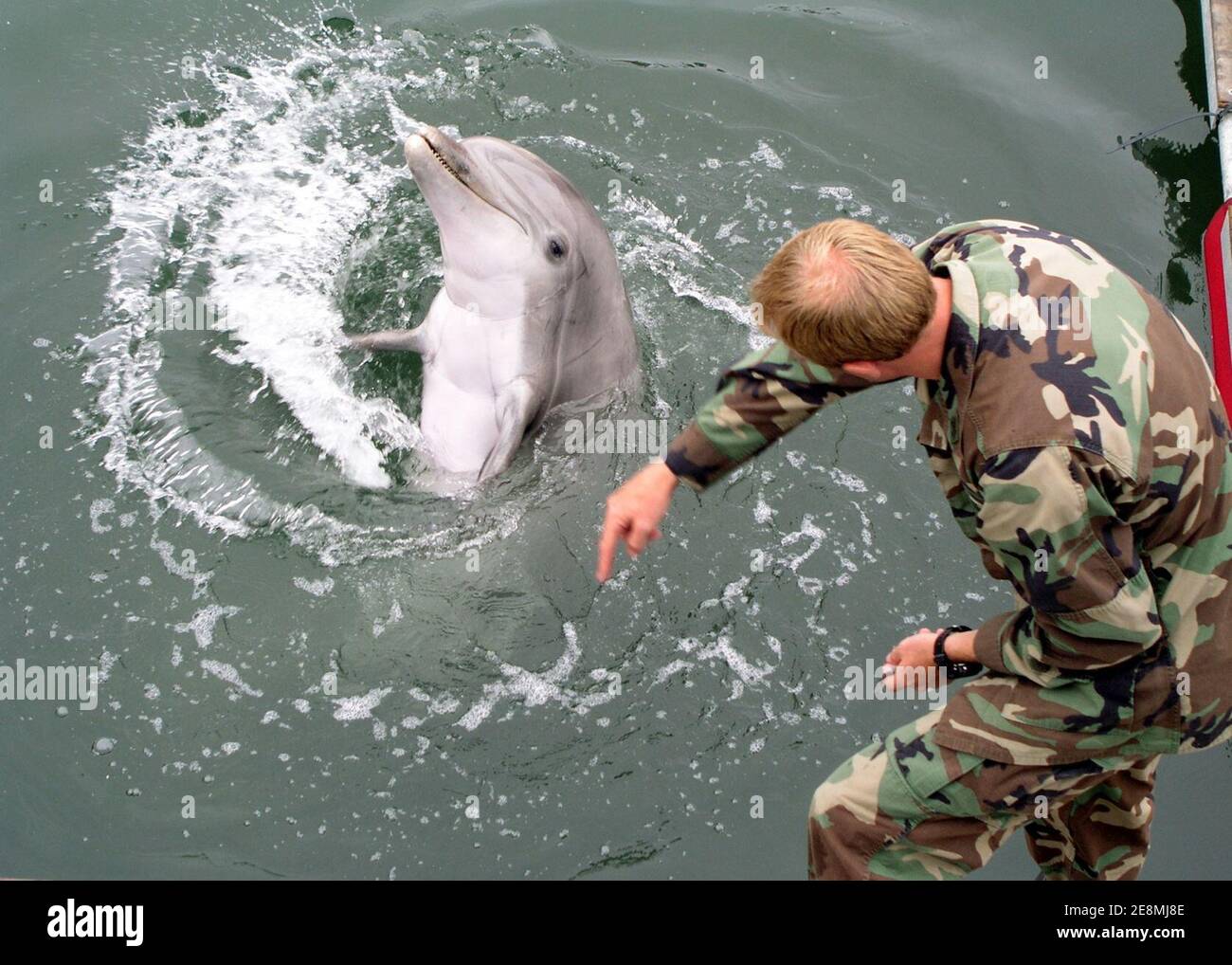 Vintage trained dolphin hi-res stock photography and images - Alamy