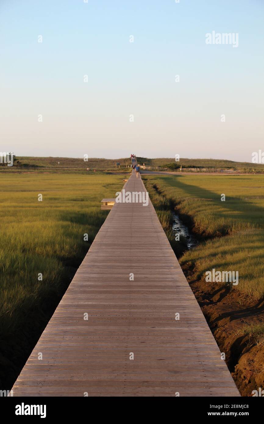 horizon view of wooden boardwalk crossing over saltmarsh to the ocean ...