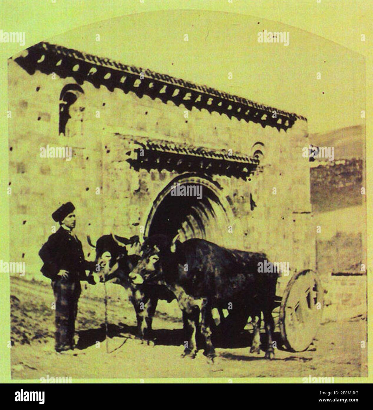 Yunta de bueyes hi-res stock photography and images - Alamy