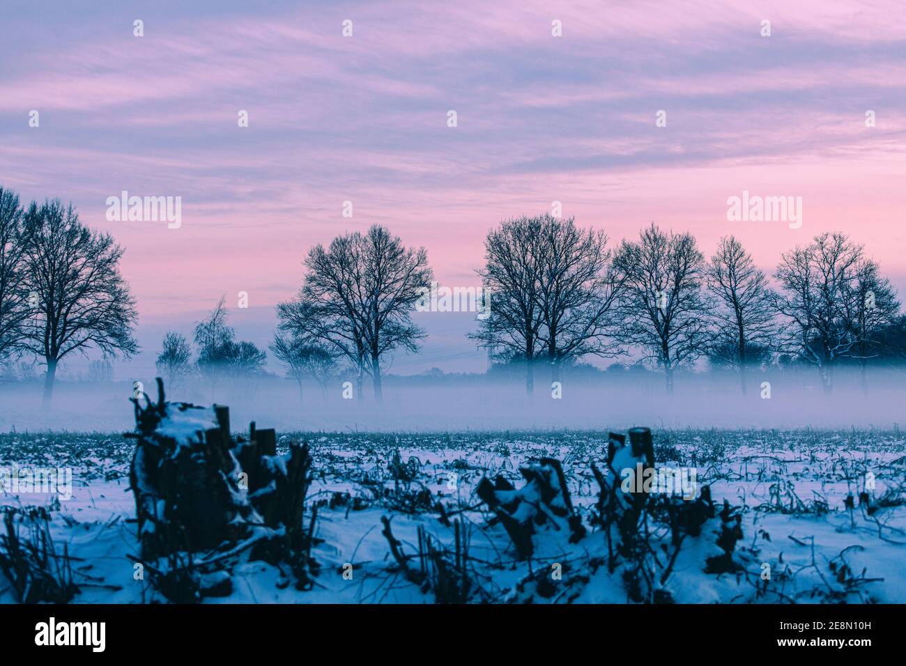 Outdoor snow fog landscape in the evening with the sky hi-res stock ...