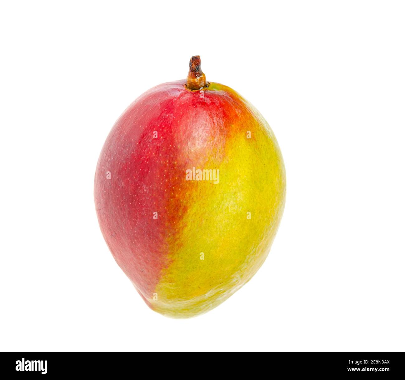 Ripe, juicy, sweet red-green mango. Exotic fruits isolated on white ...