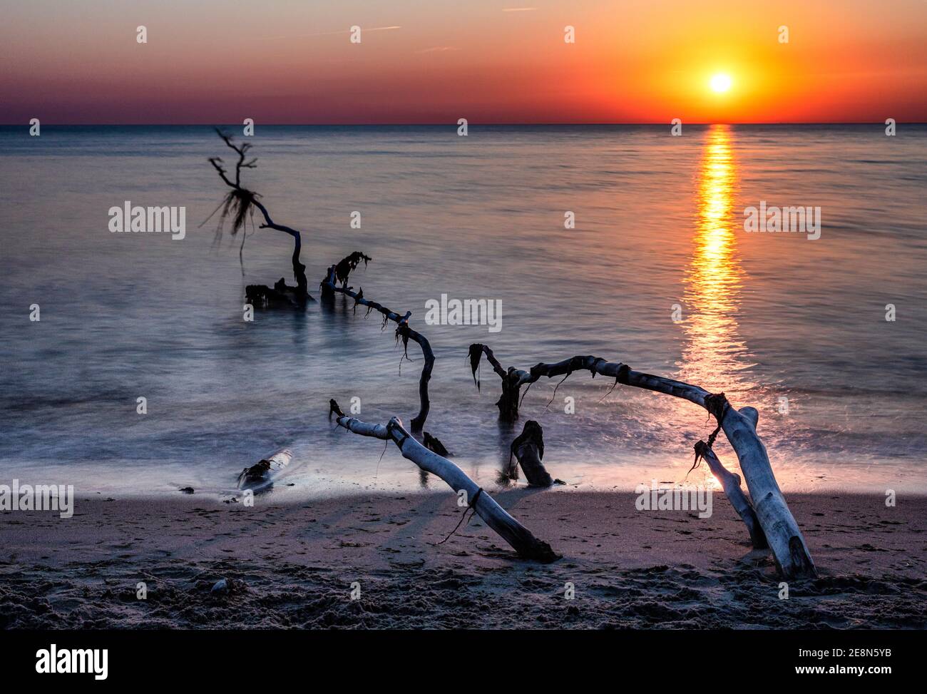 Tree Trunk On The Beach Stock Photo - Alamy
