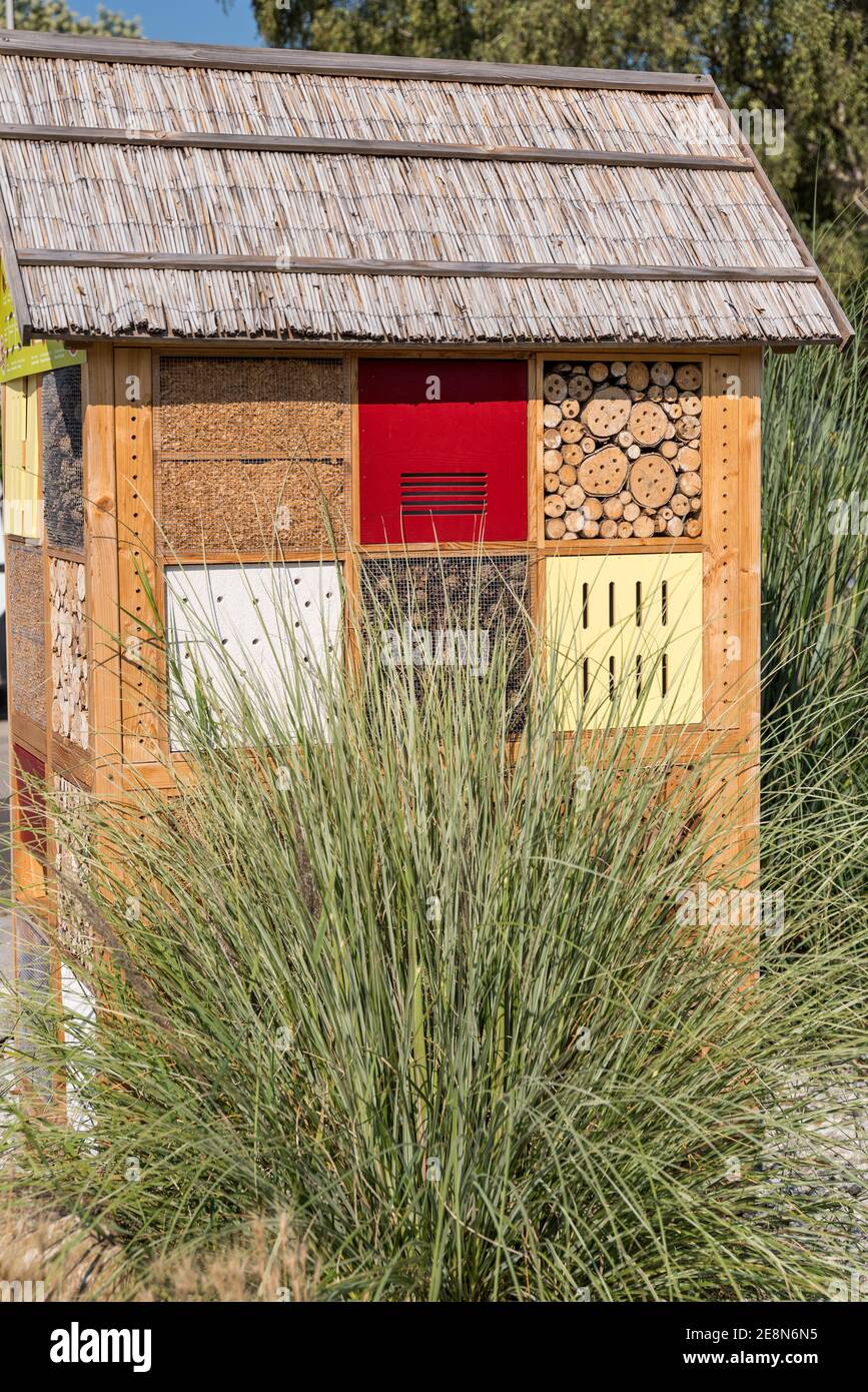 Insect House For Numerous Beneficial Organisms And Insect Species Stock ...