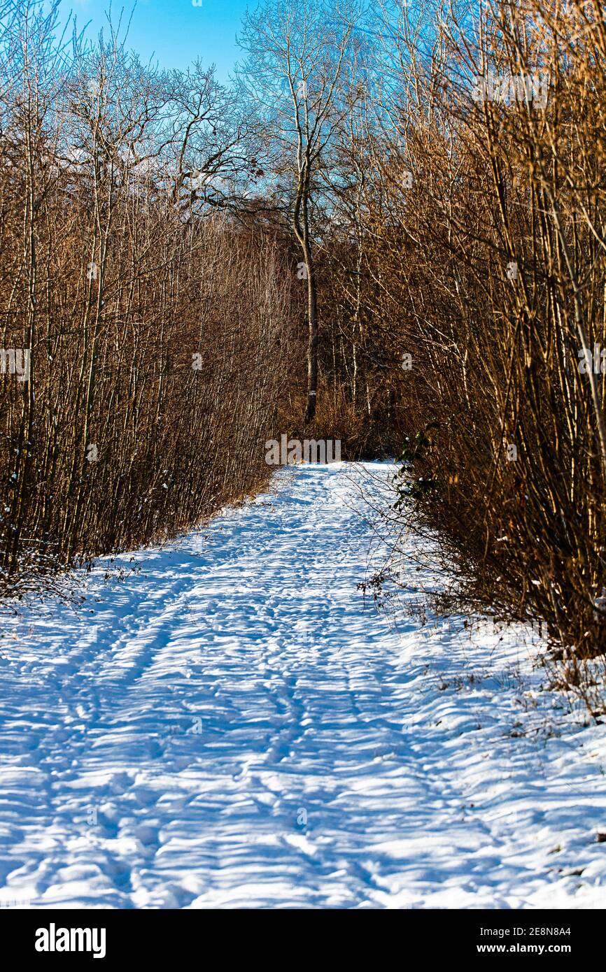 Curve path snow covered hi-res stock photography and images - Alamy