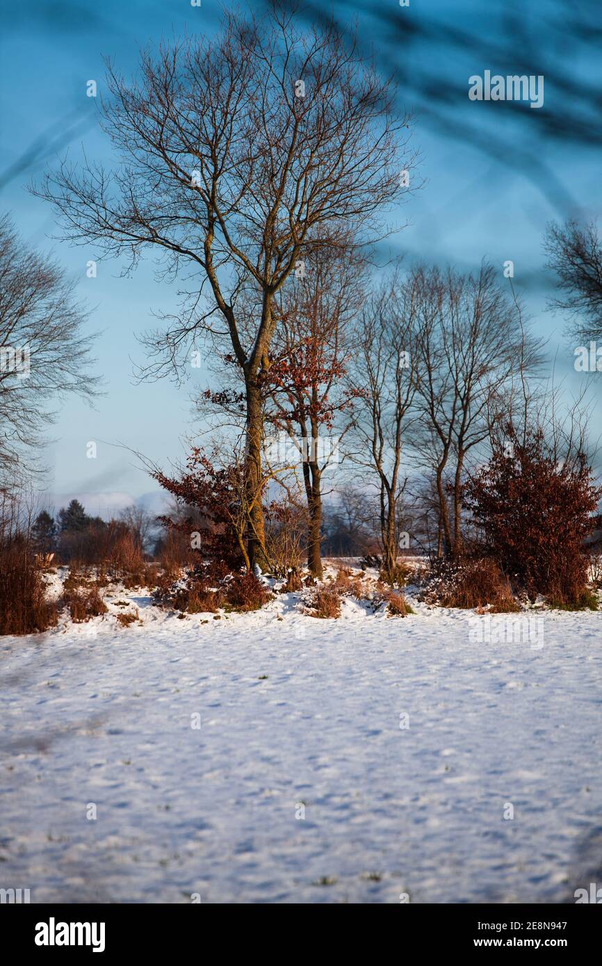Snow covered area and dry area hi-res stock photography and images - Alamy