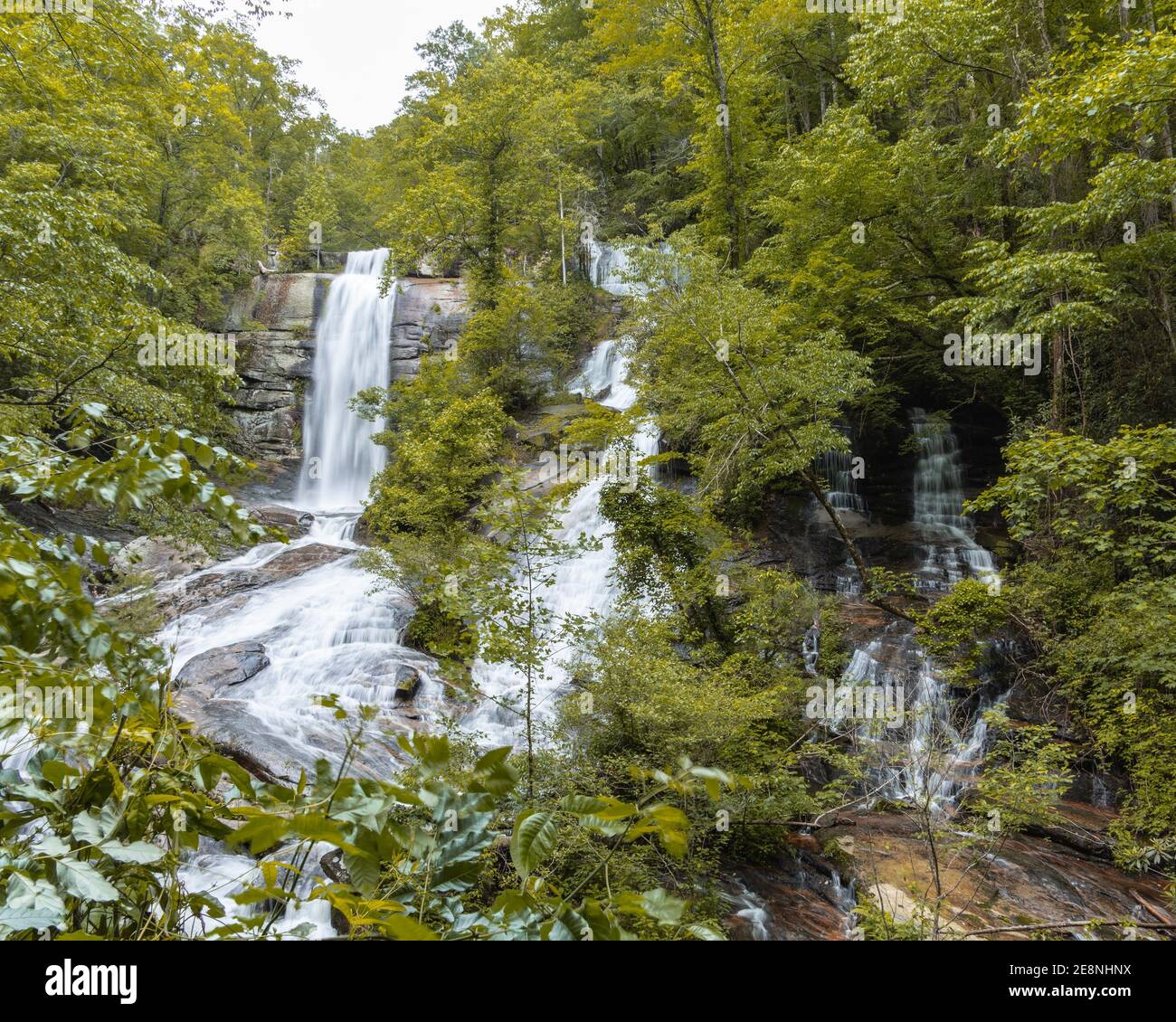A beautiful scenery of a waterfall in a forest surrounded by trees and ...