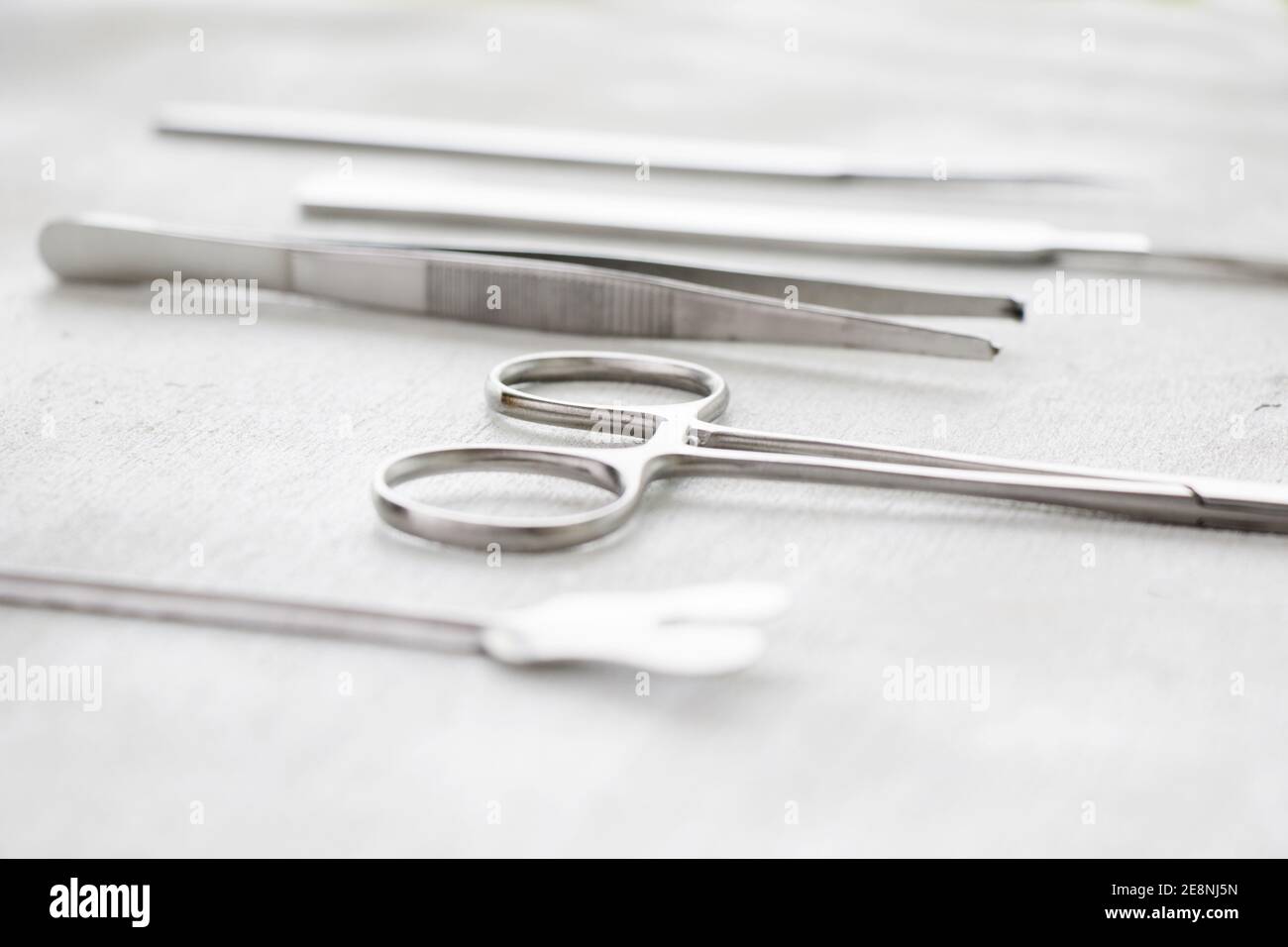 An isolated closeup of stainless steel dissection kit on white ...
