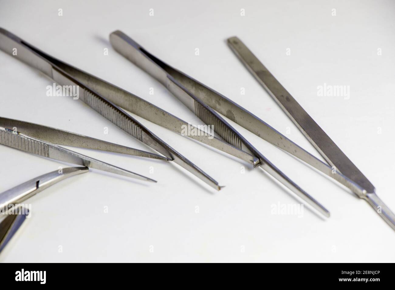 An isolated closeup of stainless steel dissection kit on white ...