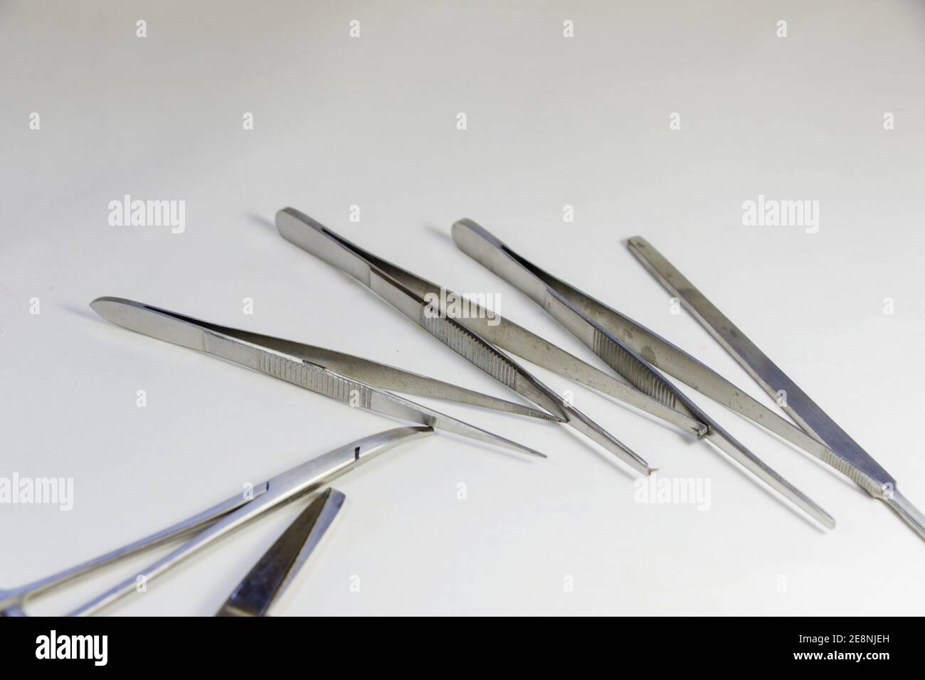An isolated closeup of stainless steel dissection kit on white ...