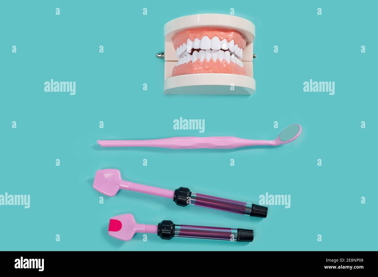 Model of human teeth and tools using in dentistry practice on a blue ...